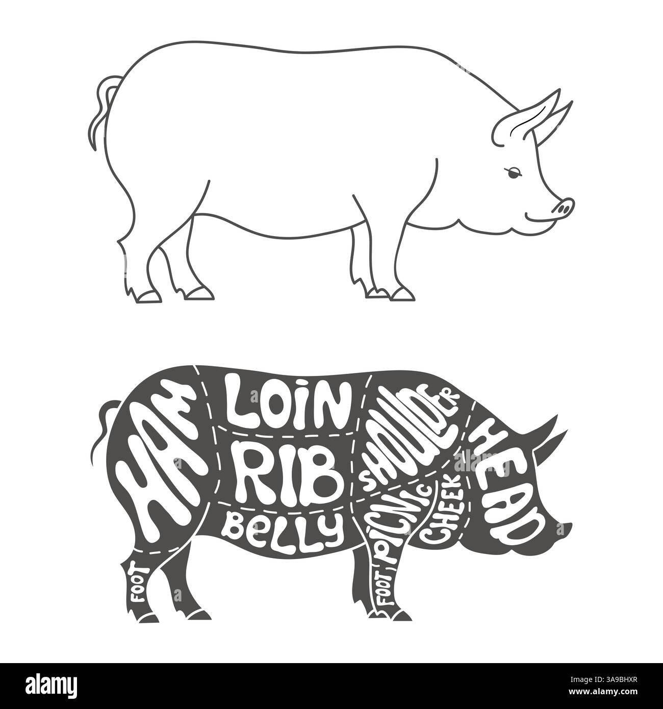 Pork cuts diagram. Hand drawn butcher cuts scheme Stock Vector Image ...