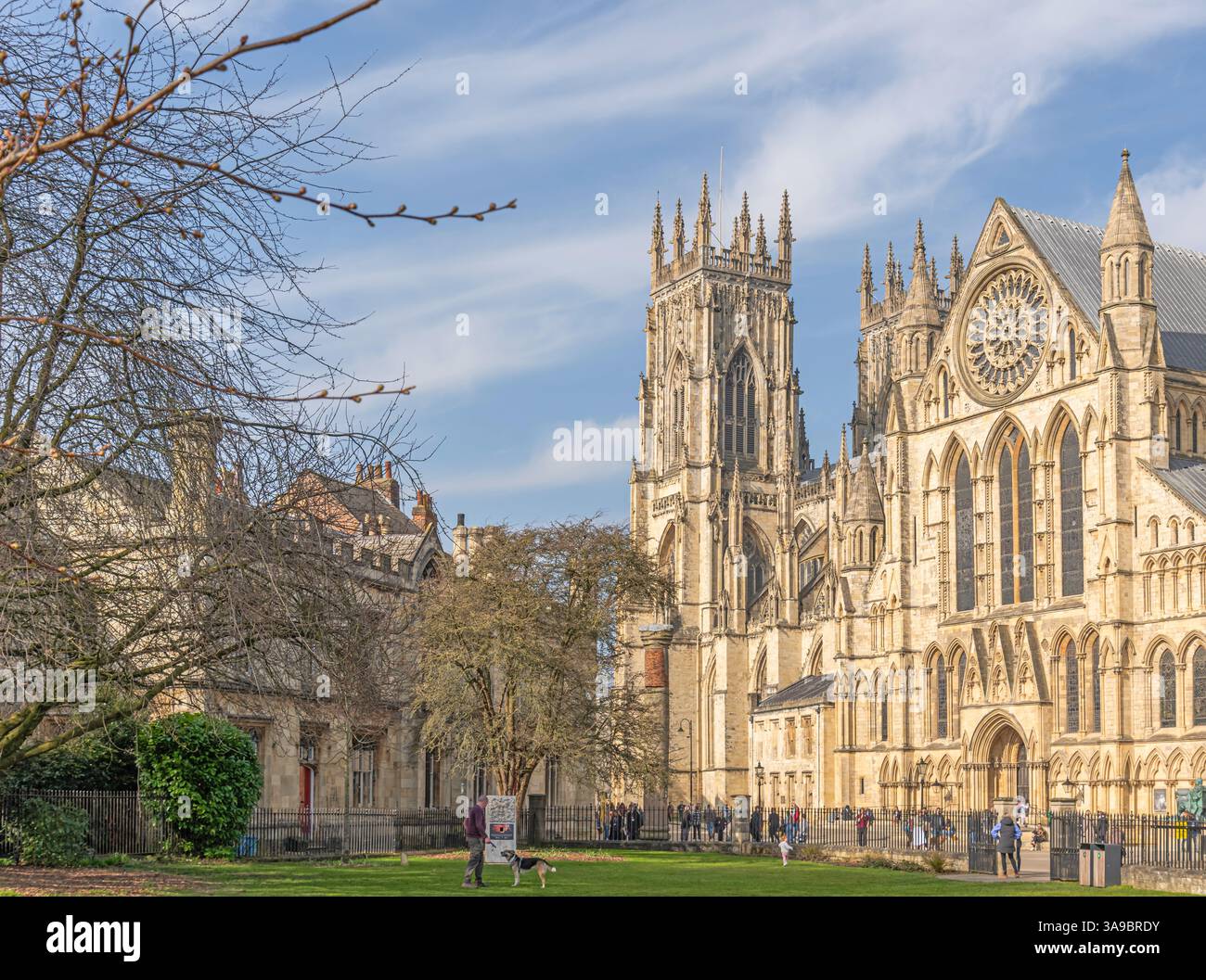 An image of the South facing medieval York Minster with its intricate ...