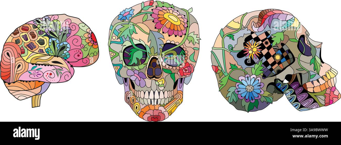Brain and skulls with floral ornament illustration Stock Vector Image ...