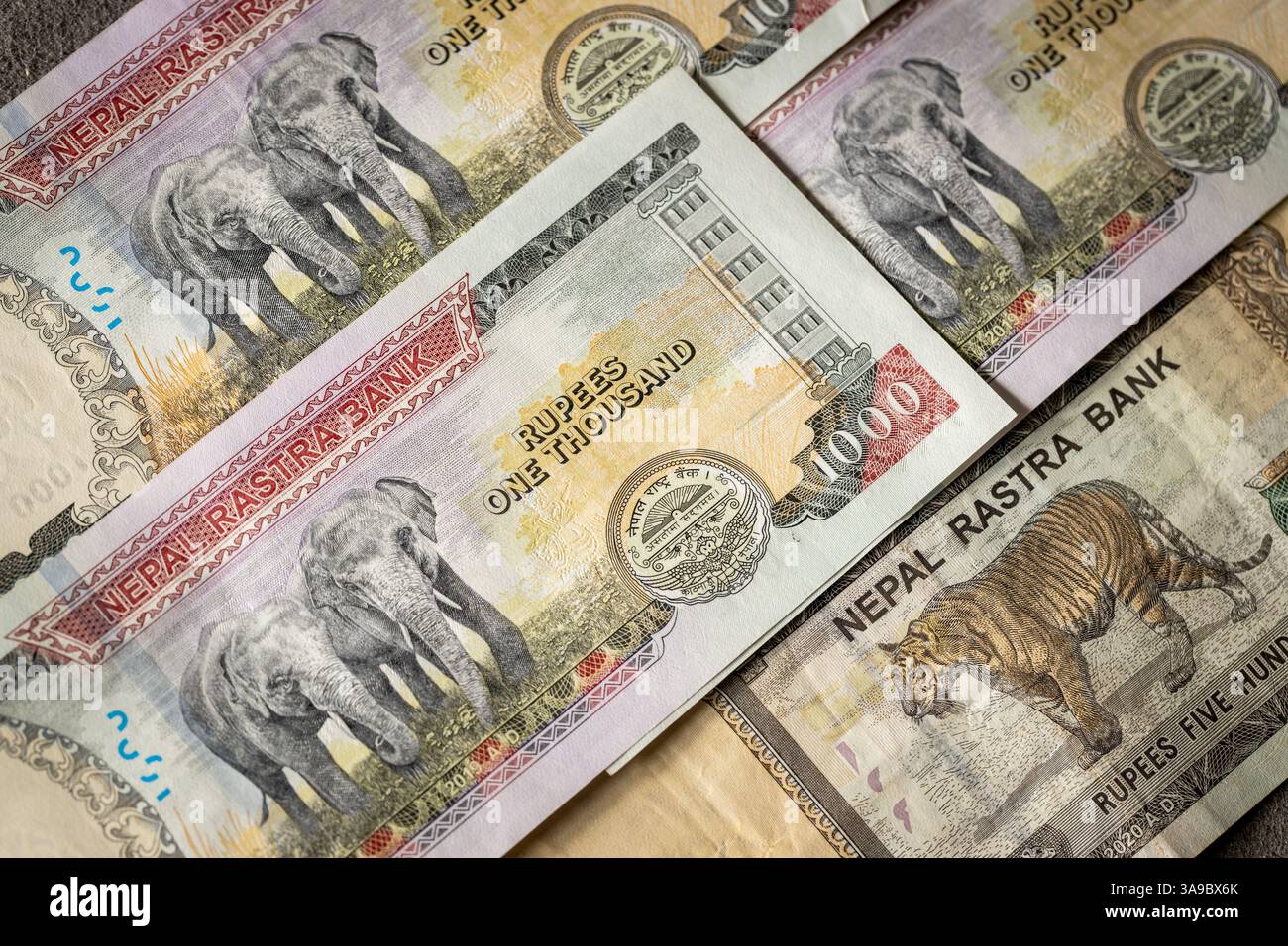 Nepal money. Nepalese rupees. Financial concept. Nepalese nature on ...