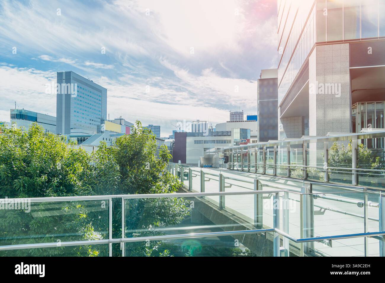 Green modern city. office building connection bridge walking space with ...