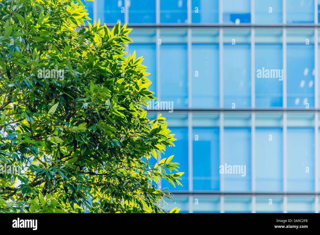 Eco friendly office building. modern city. Green tree in urban, metro ...