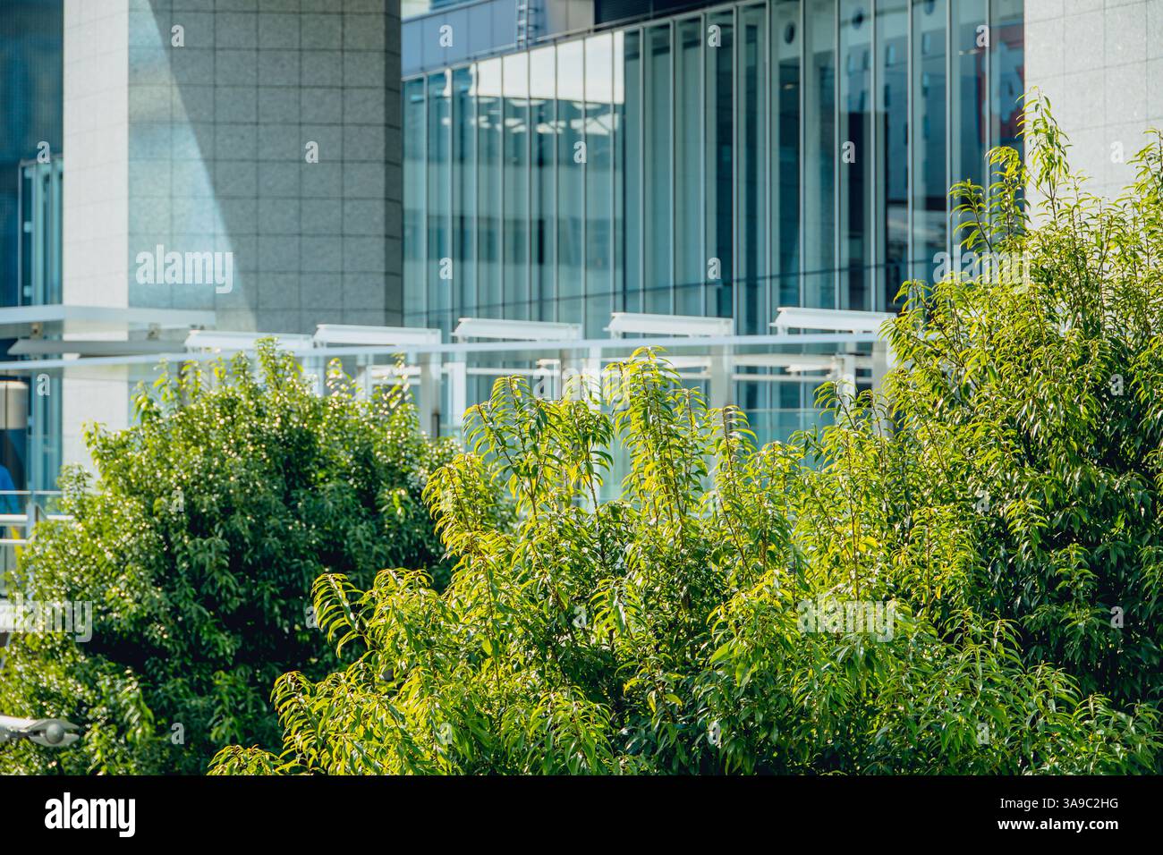 Eco friendly office building. modern city. Green tree in urban, metro ...