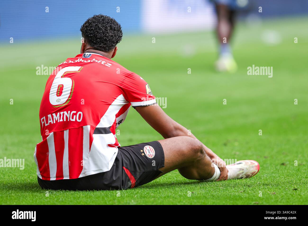 EINDHOVEN, NETHERLANDS - MARCH 30: Ryan Flamingo of PSV looks dejected after defeat during the ...