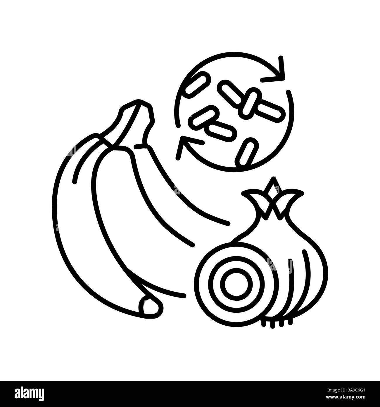 Prebiotics and energy Stock Vector Images - Alamy