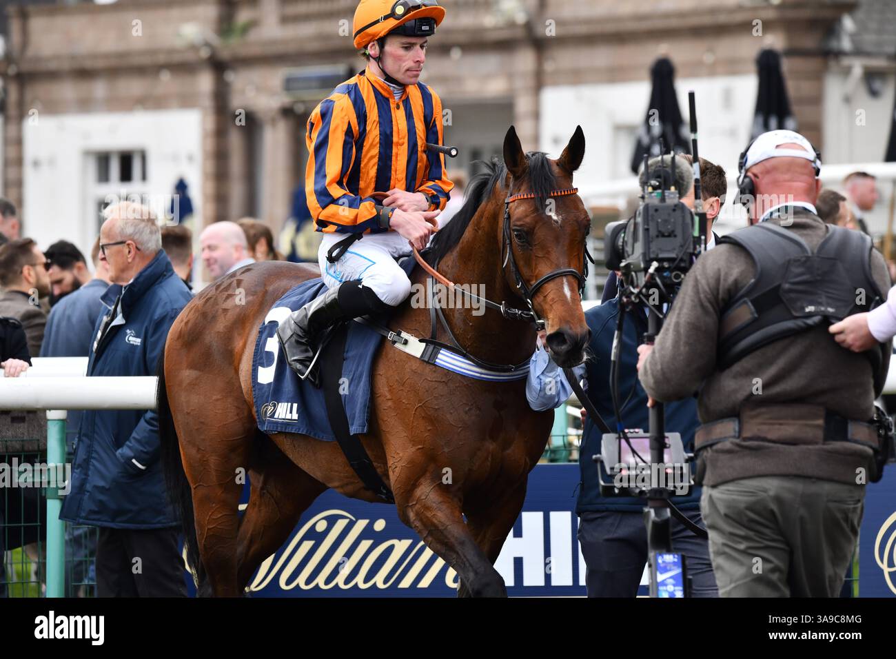 racehorse Dancing Gemini and jockey Kieran Shoemark Stock Photo - Alamy