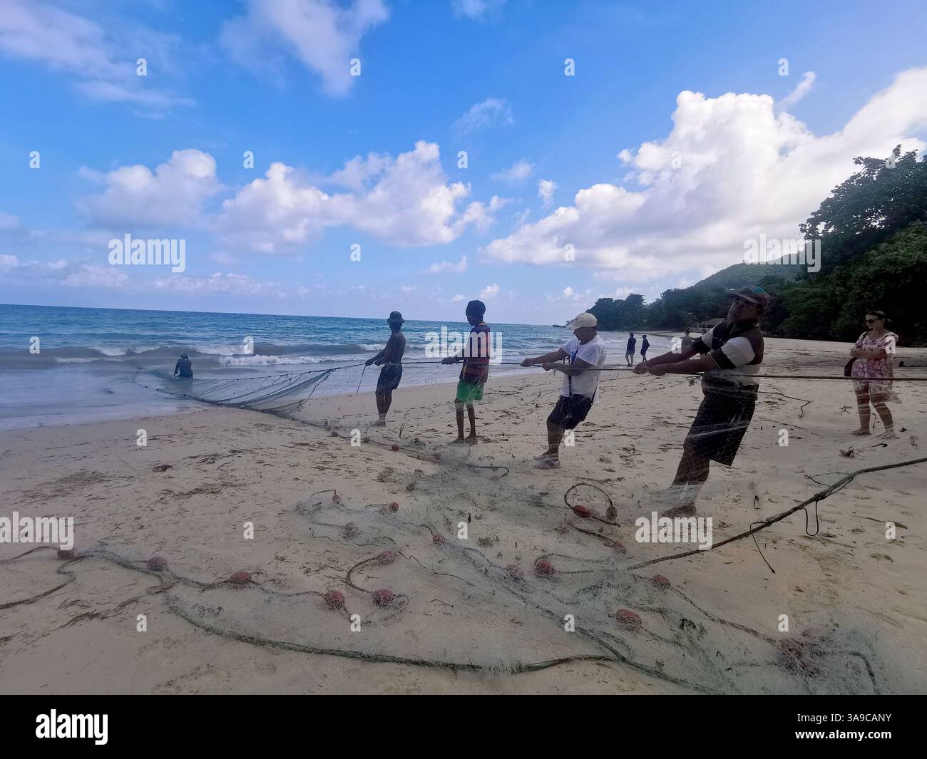 13 March 2025, Seychelles, Mahé: Fishermen haul in their catch on the ...