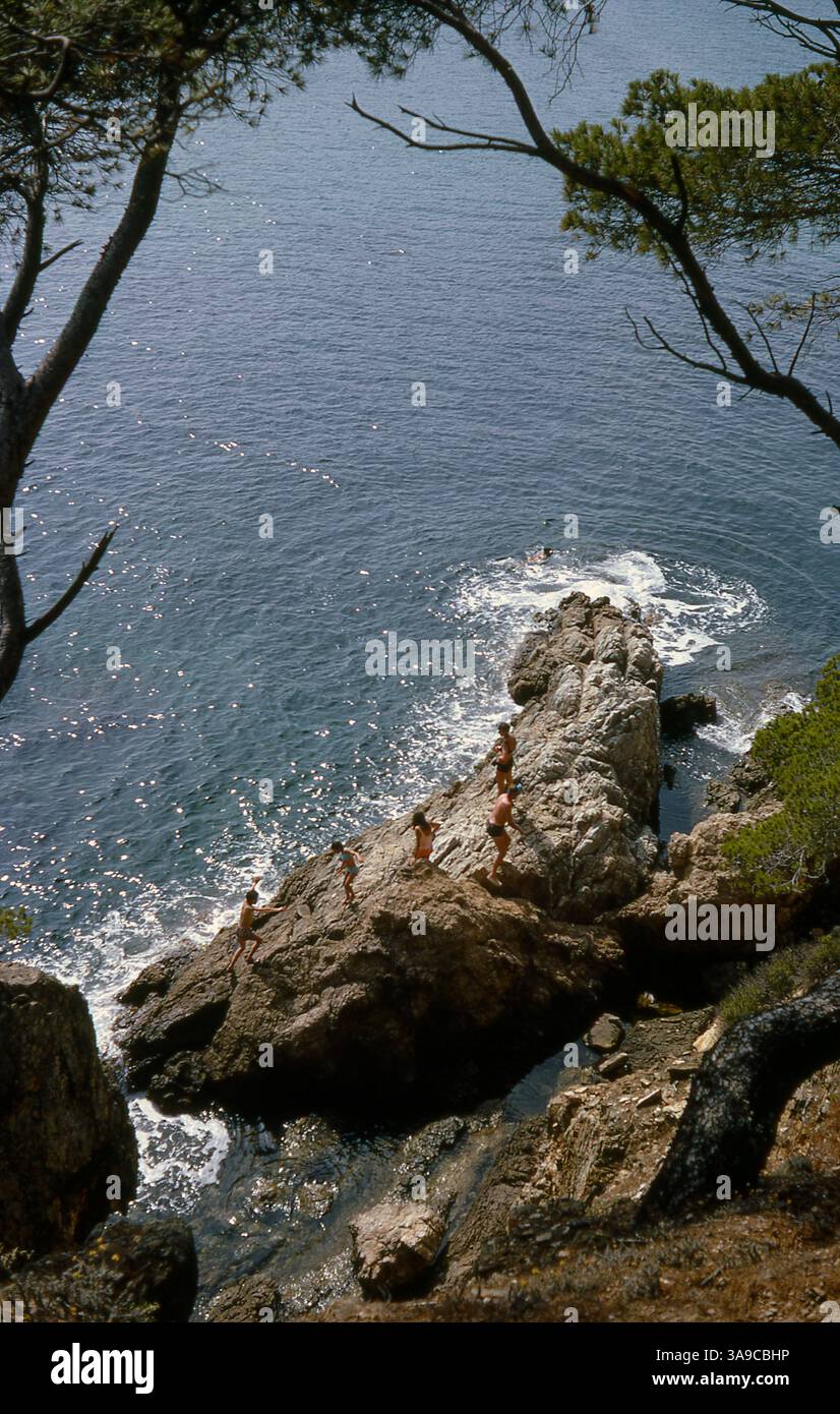 Rocky Mediterranean shoreline with swimmers, Bormes-les-Mimosas, Côte d ...