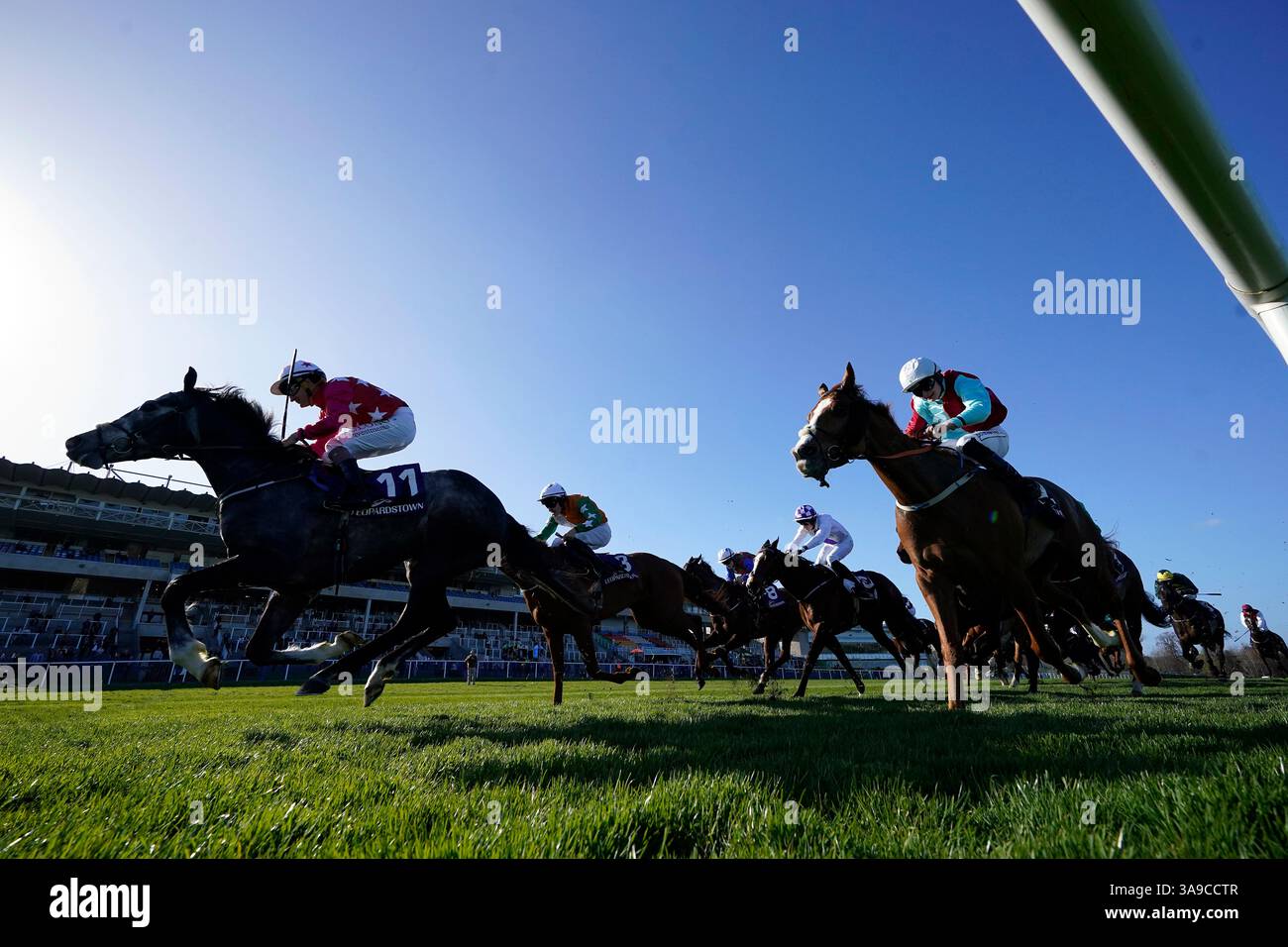 Dark Viper ridden by jockey Shane Foley on their way to winning the ...