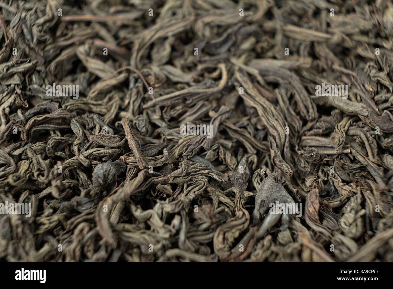 Dark and Twisted Ruhunu Tea Leaves. Pure Ceylon Tea Macro Stock Photo ...