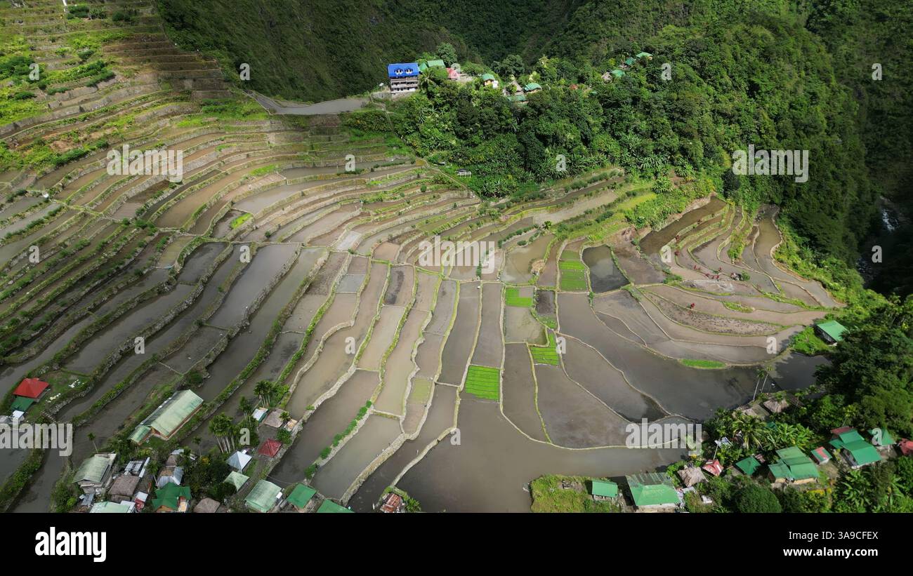 Batad Rice Terraces in Ifugao Philippines Stock Photo - Alamy