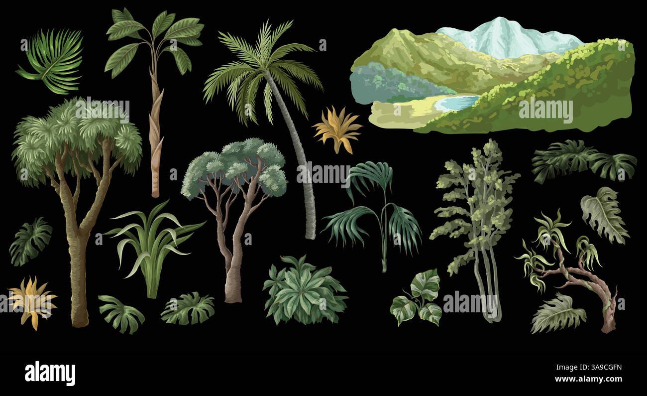 Jungle trees and leaves isolated. Vector Stock Vector Image & Art - Alamy