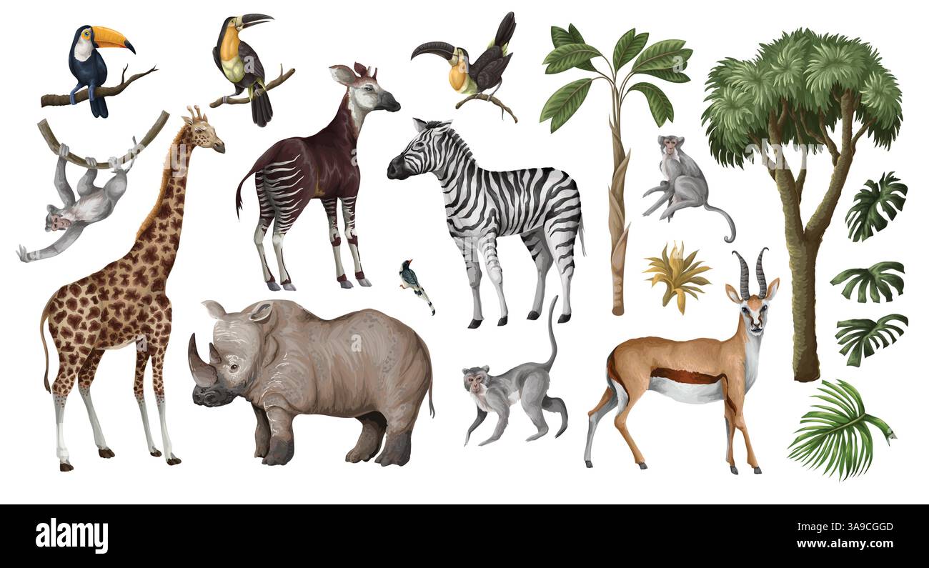Jungle animals and trees isolated. Palm trees, giraffe, okapi, zebra ...
