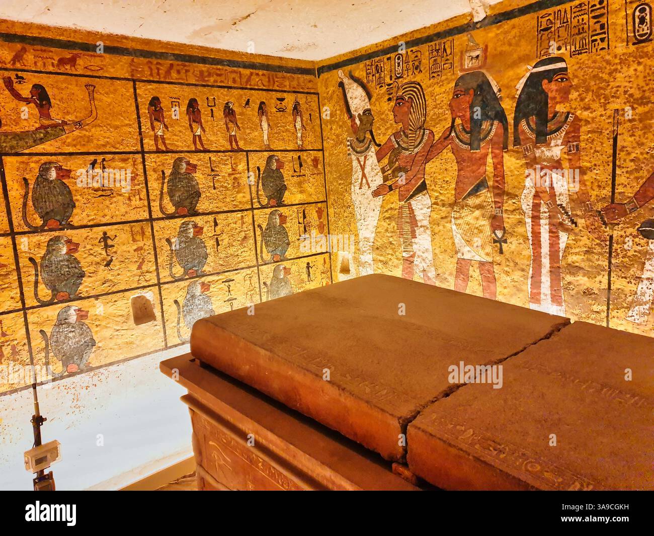 Painted wall panel of Baboons from the Funerary text book of Amduat inside the famous Tomb of ...