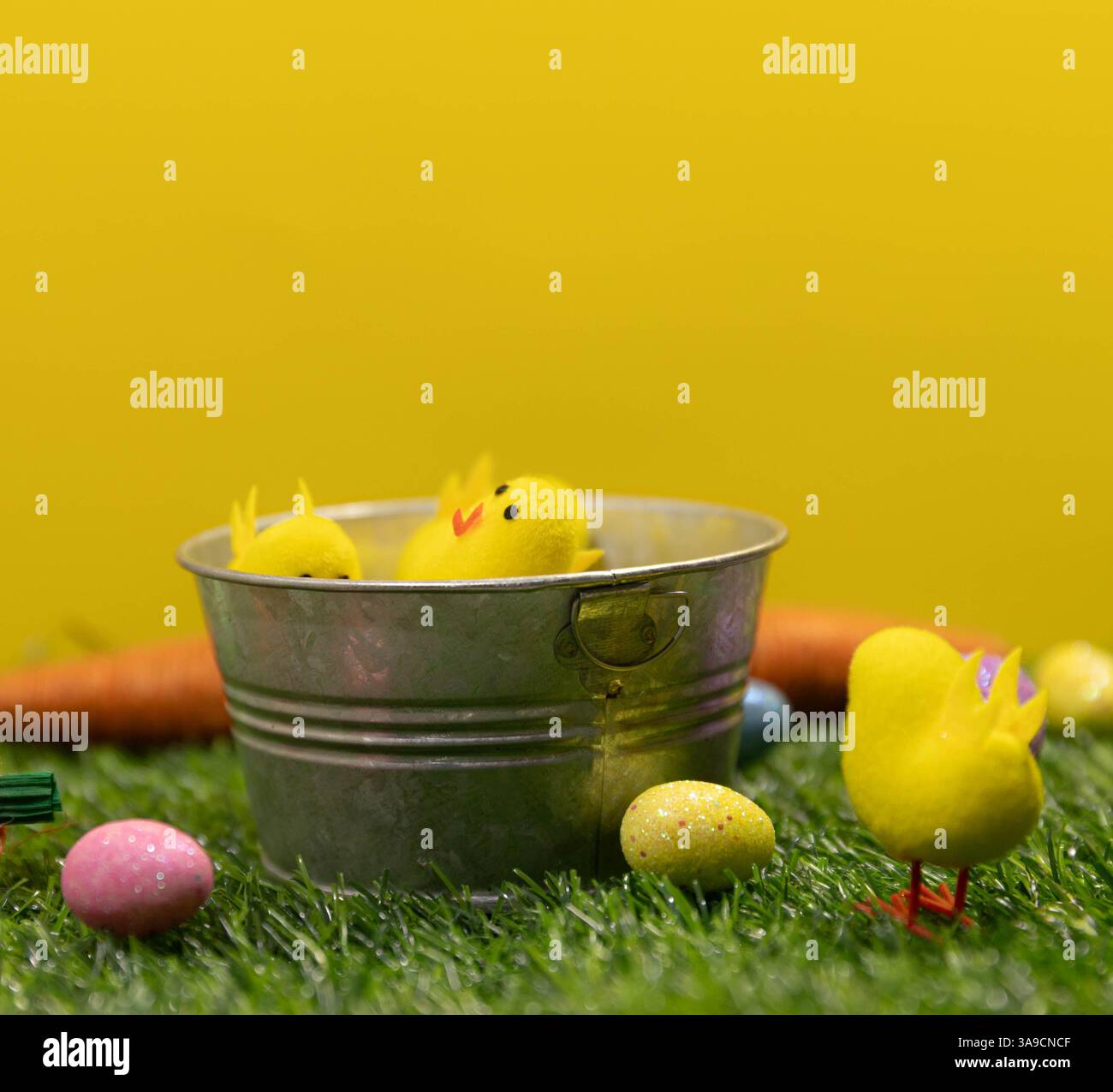 Easter eggs spring blooming hi-res stock photography and images - Alamy