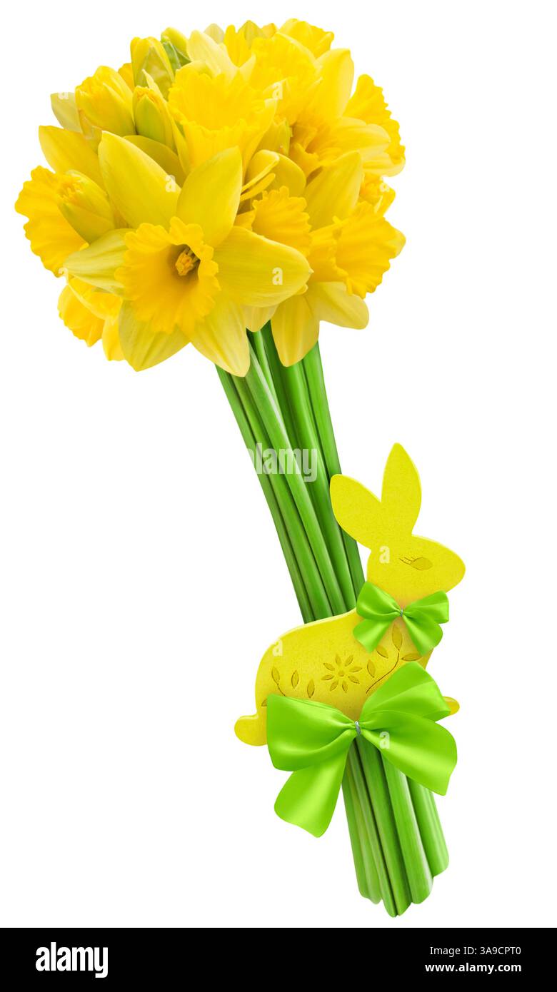 Daffodils and yellow Easter Bunny isolated on white background Stock ...
