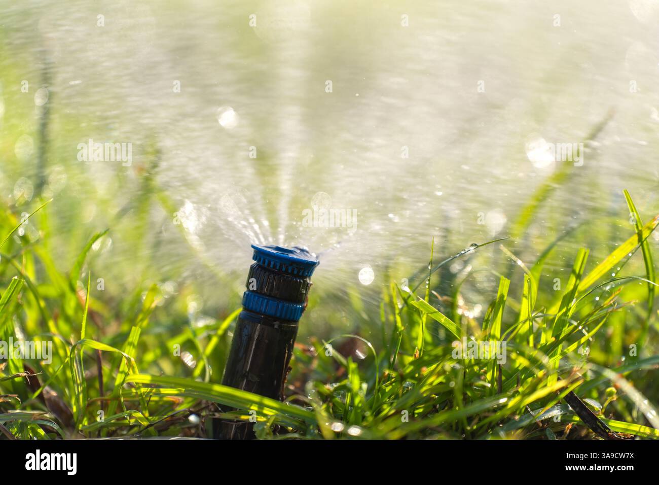 Automatic irrigation system with water sprinkler for maintaining grass ...