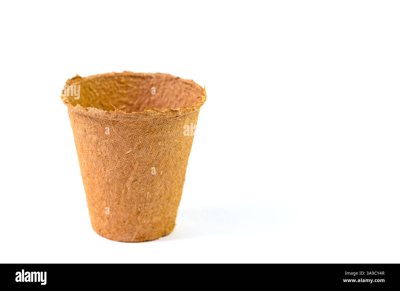 Cardboard growing pot against a white background Stock Photo - Alamy