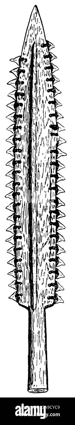 Military and ritual weapons. Sword-knife with shark teeth, Gilbert ...