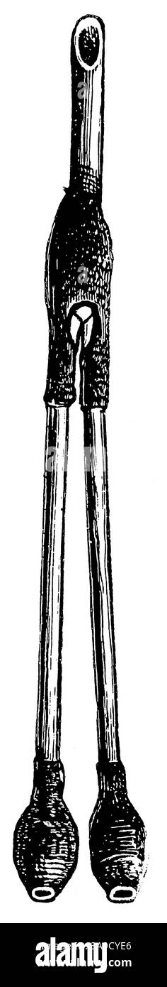 Snuff tube of the Guahibo tribe, Amazon. Artifacts of America ...