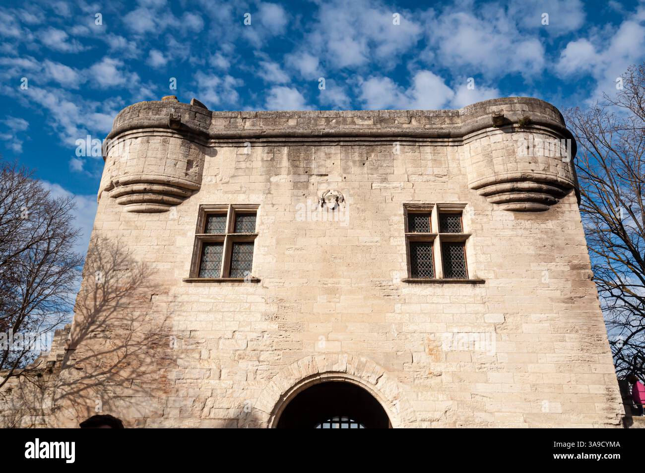 Medieval Castle entrance to the Bridge of Avignon, Provence-Alpes-Côte ...
