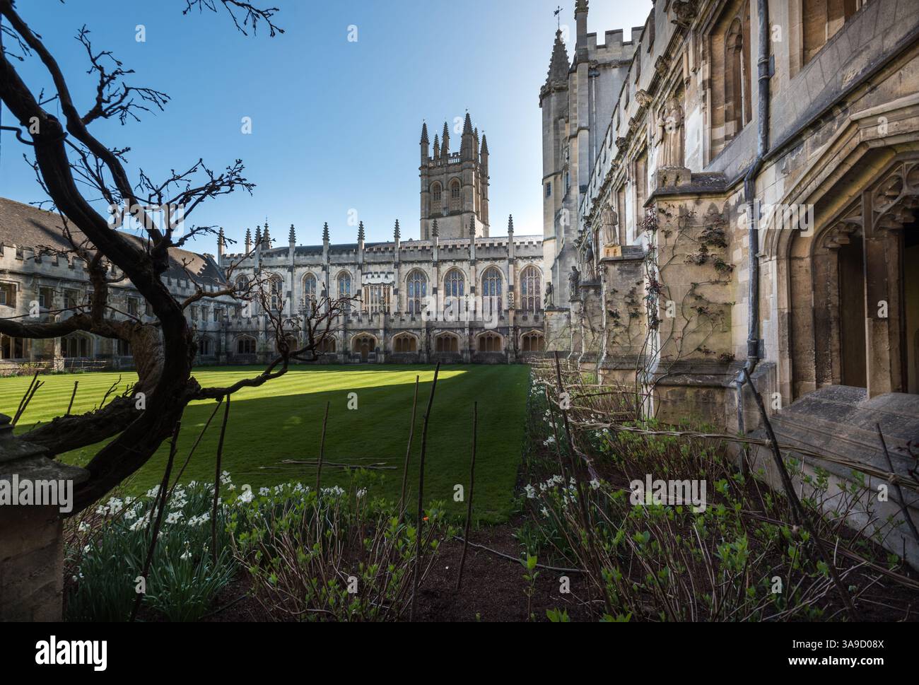Magdalen College Courtyard with view of Magdalen Tower, Oxford ...