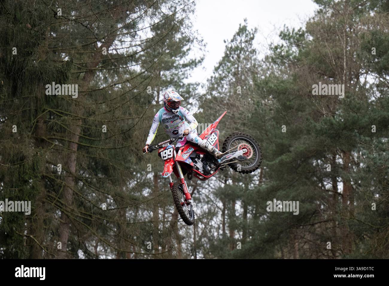 Harsfsen, Netherlands. 30th Mar, 2025. HARSFSEN, NETHERLANDS - MARCH 30 ...