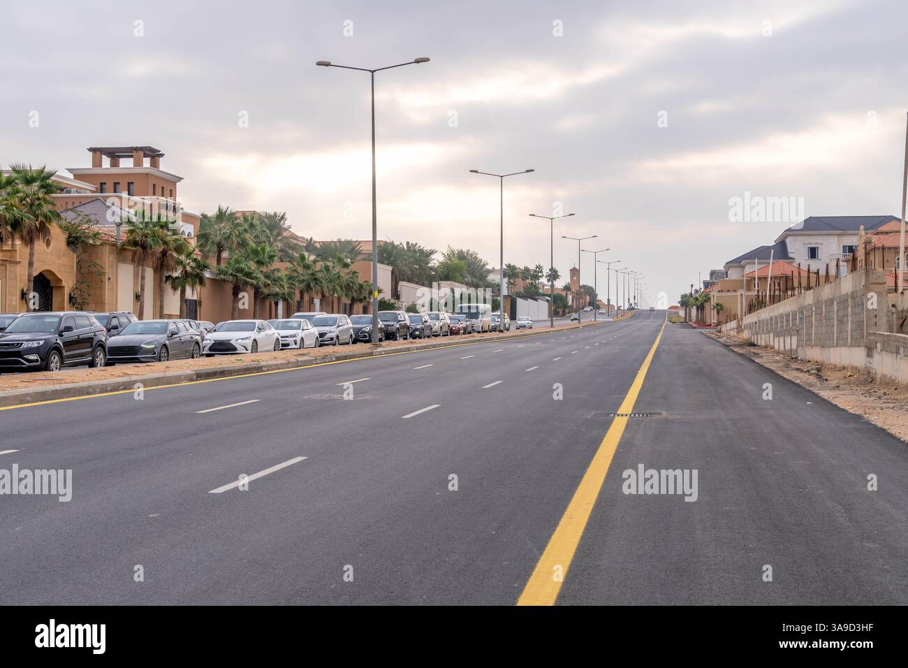 Paved road in Riyadh, Saudi Arabia, lined with palm trees and modern ...