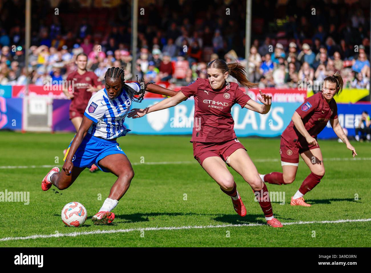 Crawley, UK. 30th Mar, 2025. Broadfields Stadium, England, March 30 ...