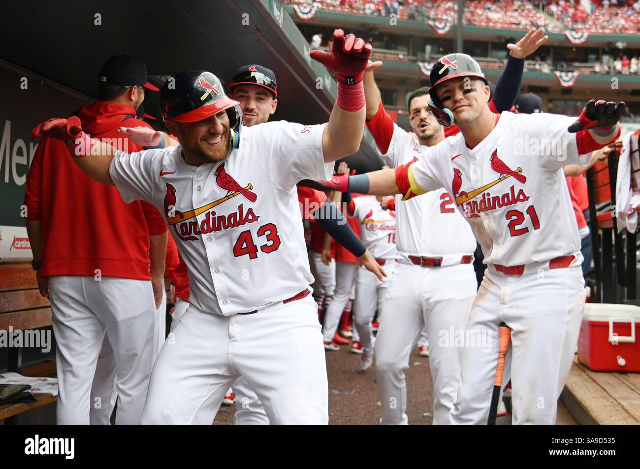 St. Louis Cardinals catcher Pedro Pagés (43) celebrates with teammates ...