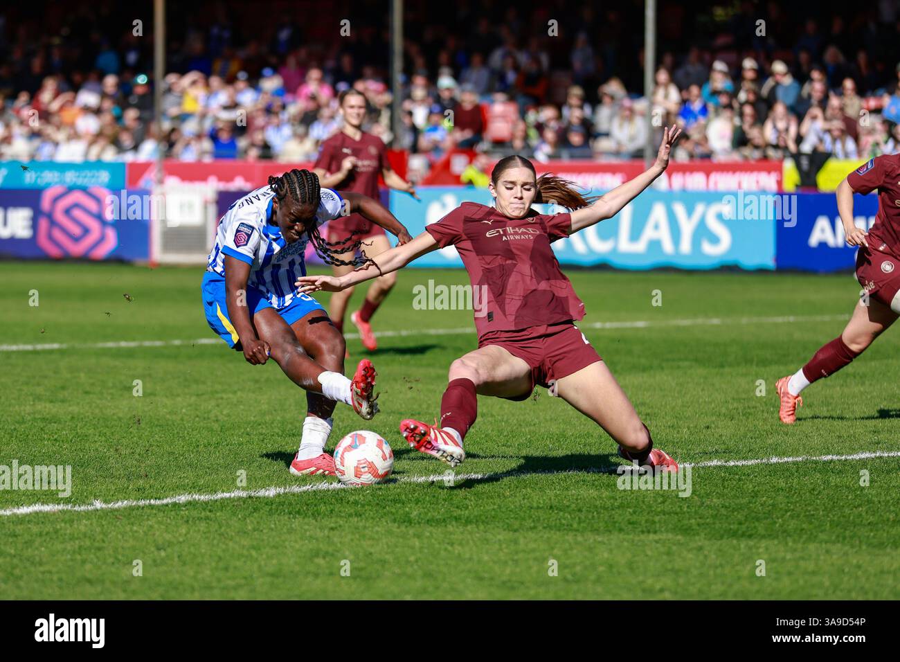 Crawley, UK. 30th Mar, 2025. Broadfields Stadium, England, March 30 ...