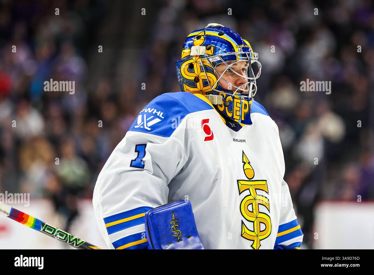 March 30th, 2025: Toronto Sceptres goalie Raygan Kirk (1) looks on ...