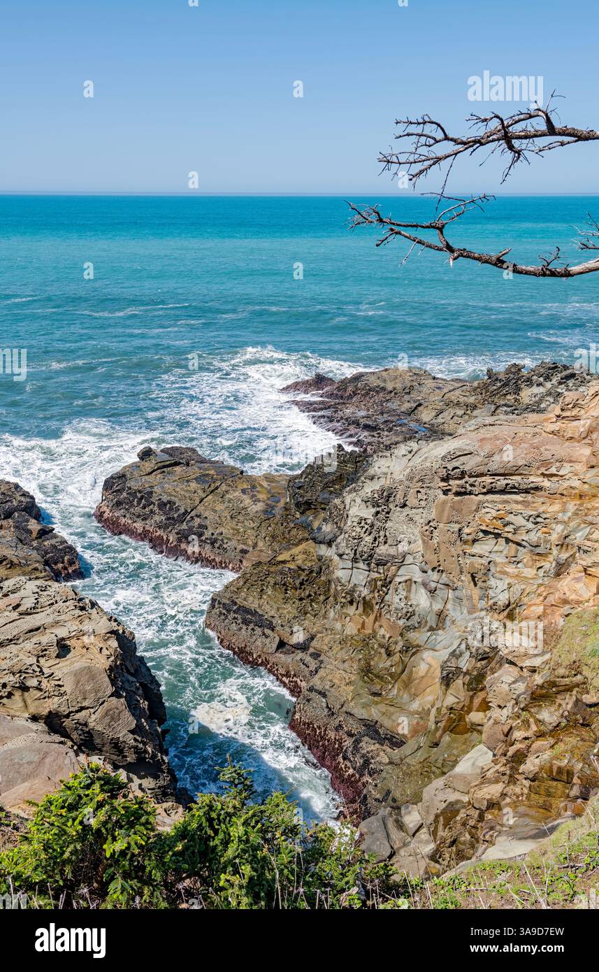 A rocky cove on the Pacific Coast at Cape Sebastian State Park, Oregon ...