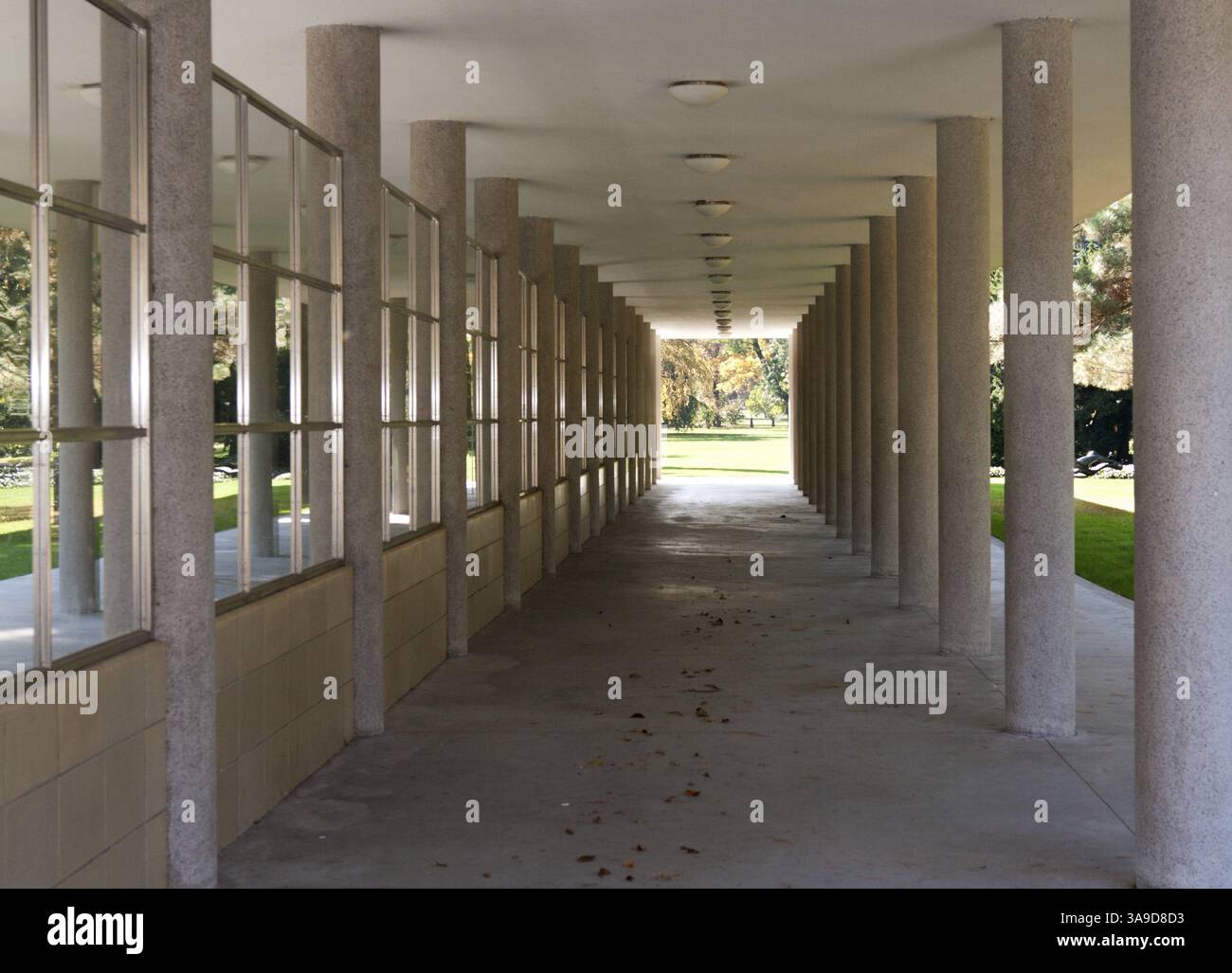 Corridor of columns and a view of green trees Stock Photo - Alamy