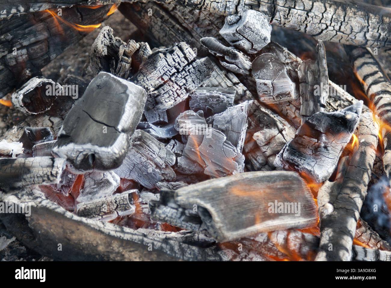 Campfire burning coal, black smoulderring wooden log Stock Photo - Alamy