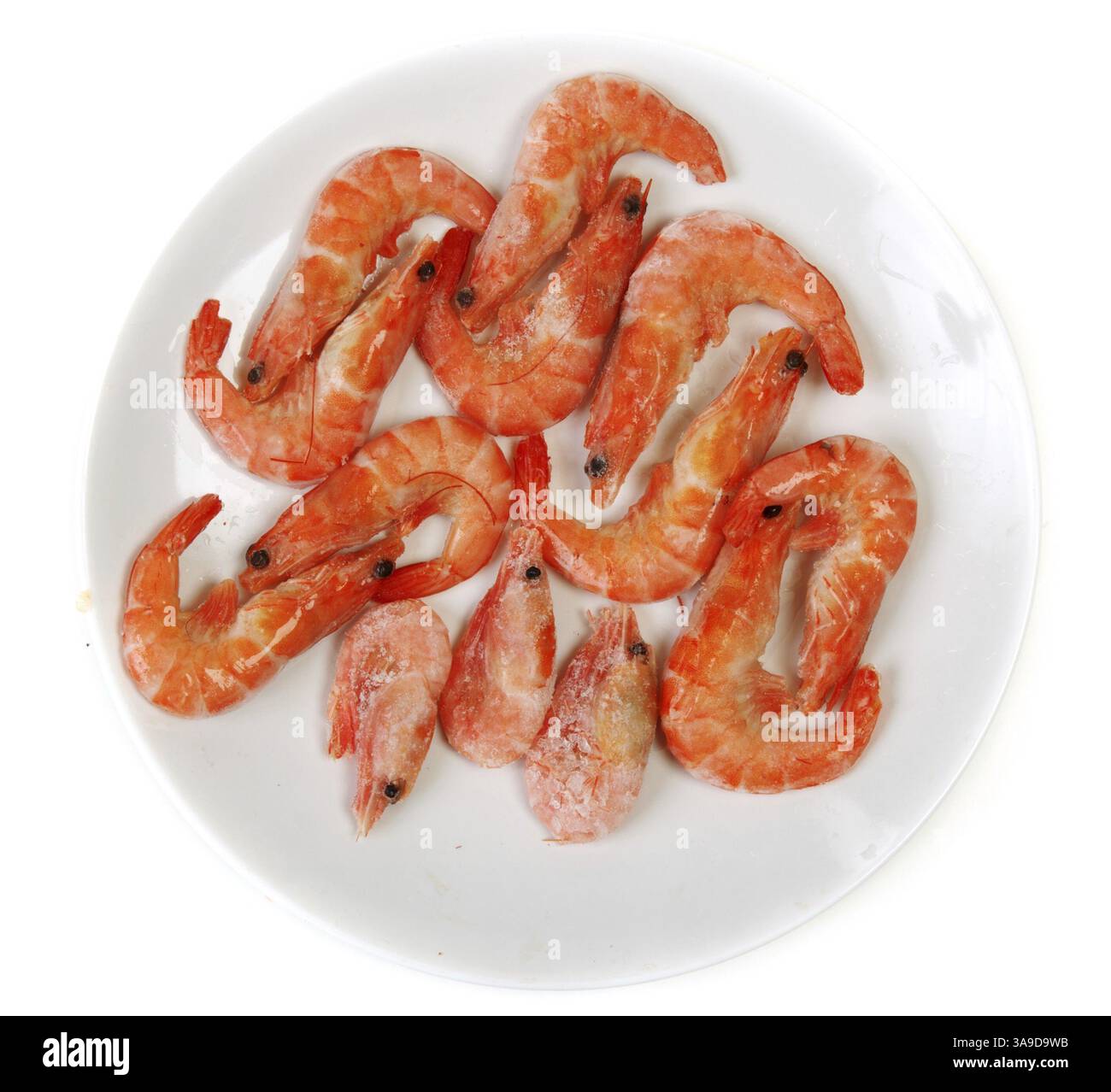 Plate frozen prawns insulated on white background Stock Photo - Alamy