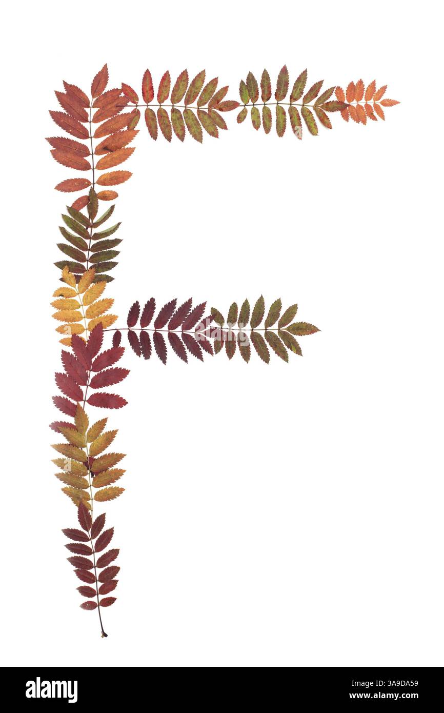 Background from sheet color Cut Out Stock Images & Pictures - Alamy