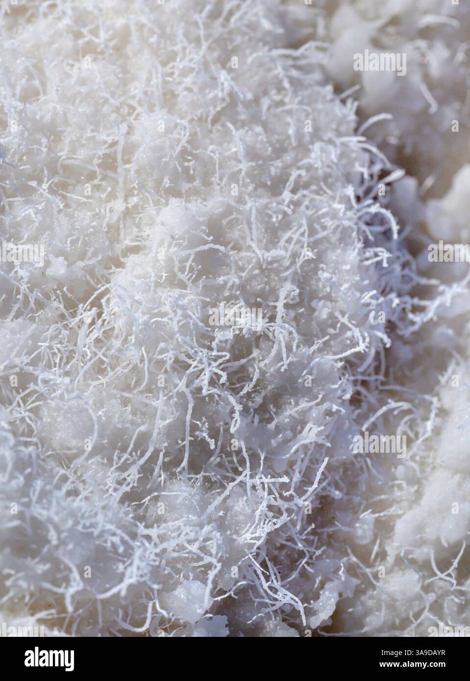 "Salt fibers" in Death Valley Badwater Basin, primarily composed of ...