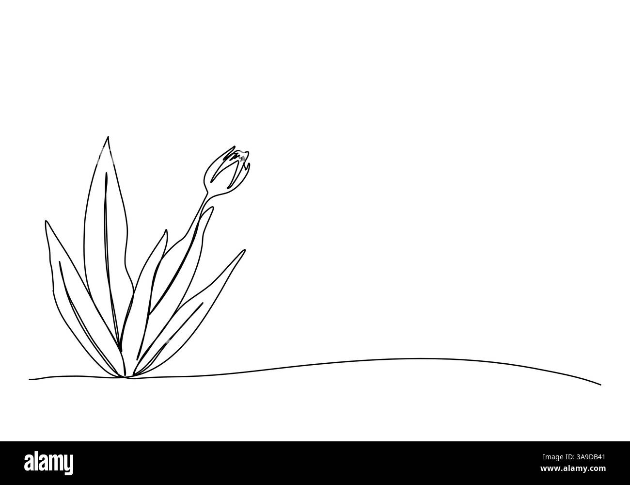 Flower, one line drawing animation with alpha channel Stock Vector ...