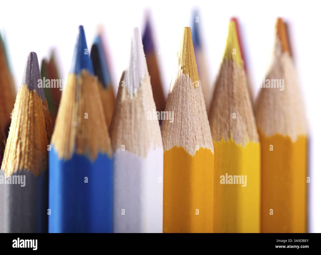 Macro shot of the color pencils isolated on white background. Artist's stuff Stock Photo - Alamy