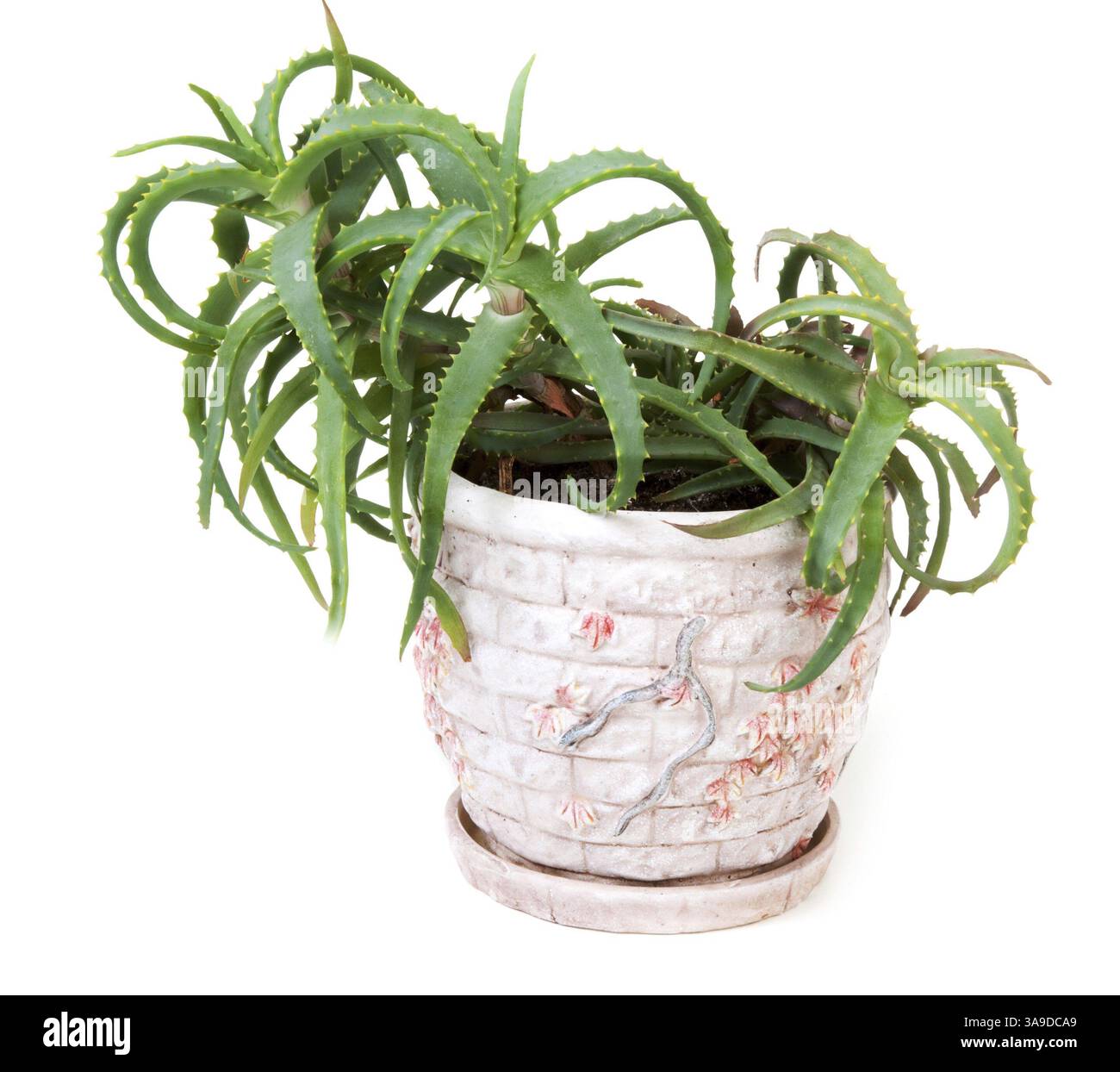 Clay colored Cut Out Stock Images & Pictures - Alamy