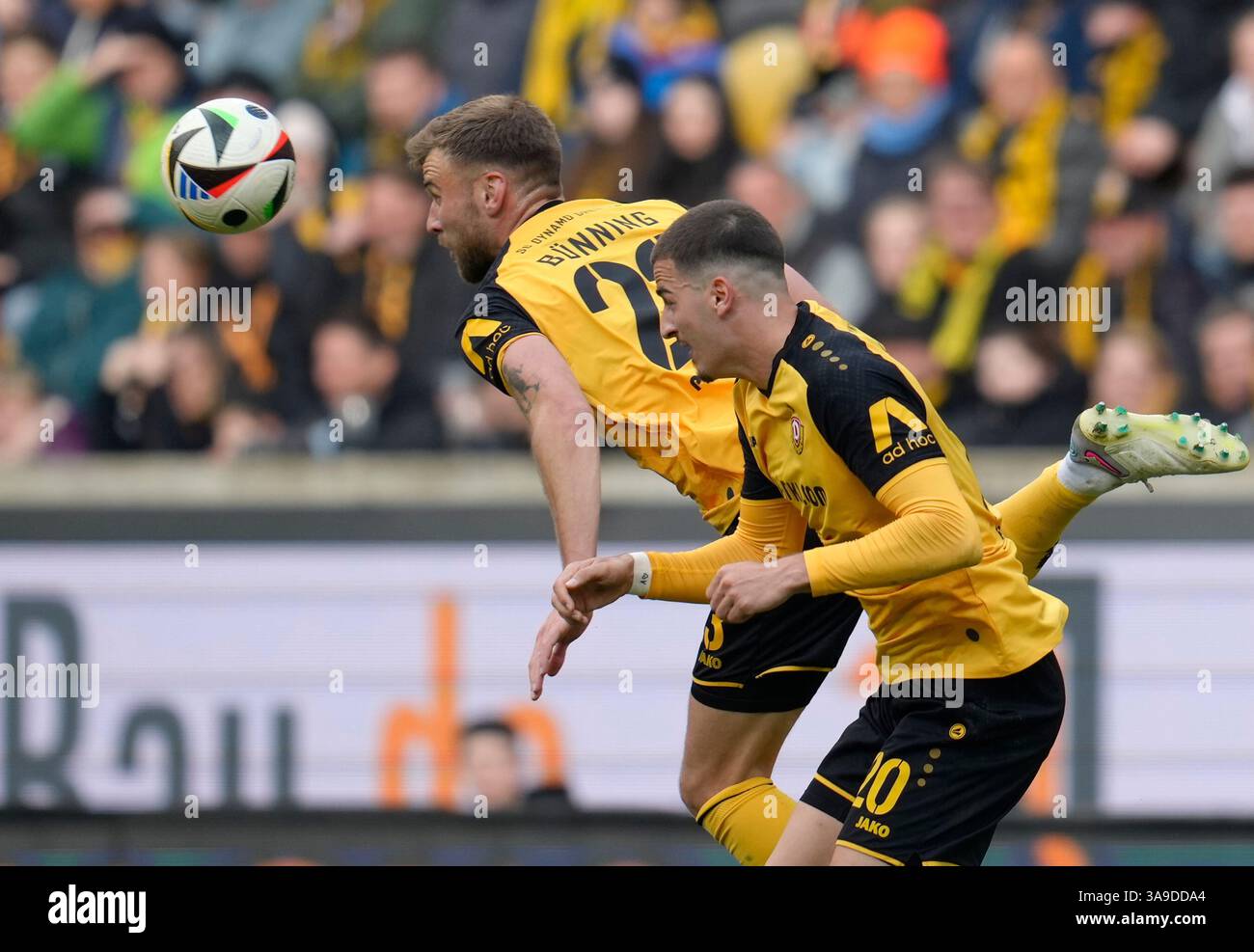 Lars Buenning (SG Dynamo Dresden, #23) und Andi Hoti (SG Dynamo Dresden ...