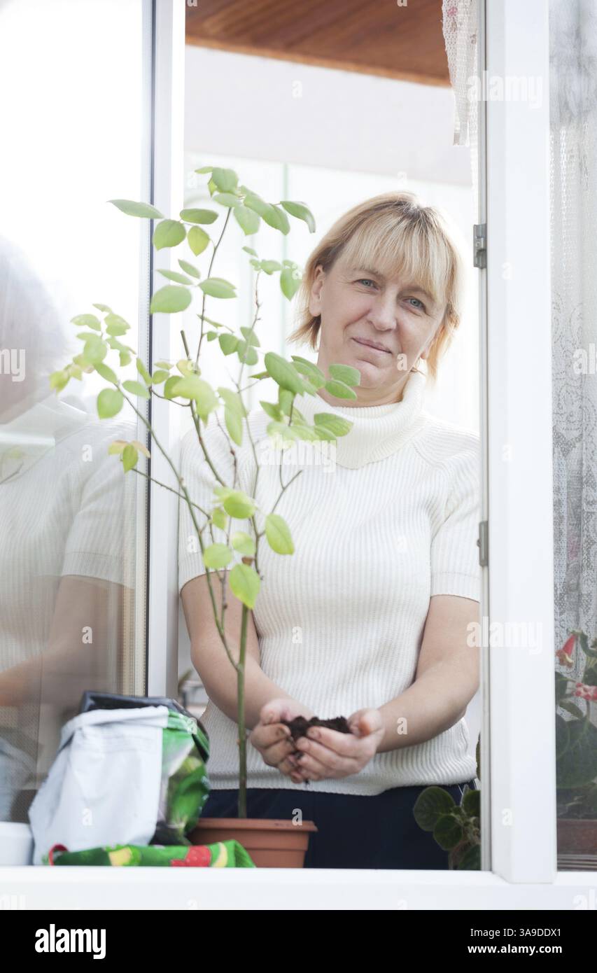 Lady adding soil in pot with small plant Stock Photo - Alamy