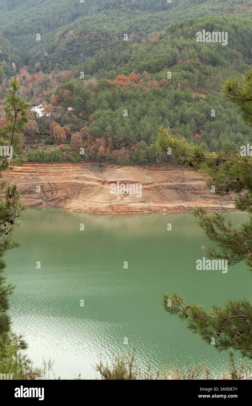 Views of the azure mountain lake through the pine forest Stock Photo ...