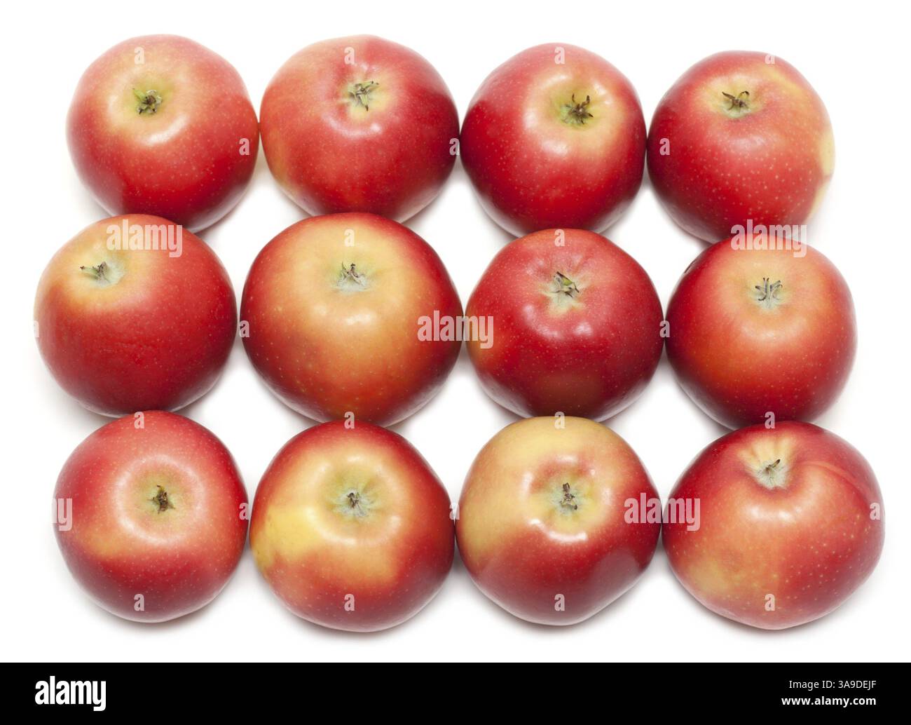 Red apple put in rows on white background Stock Photo - Alamy