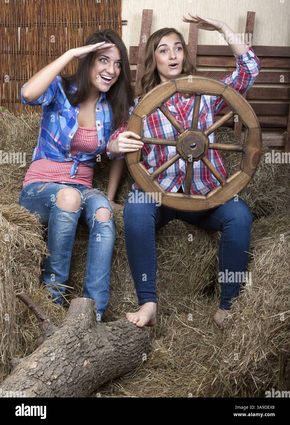 Two beautiful girls in the hay with a wheel on the cart are looking ...