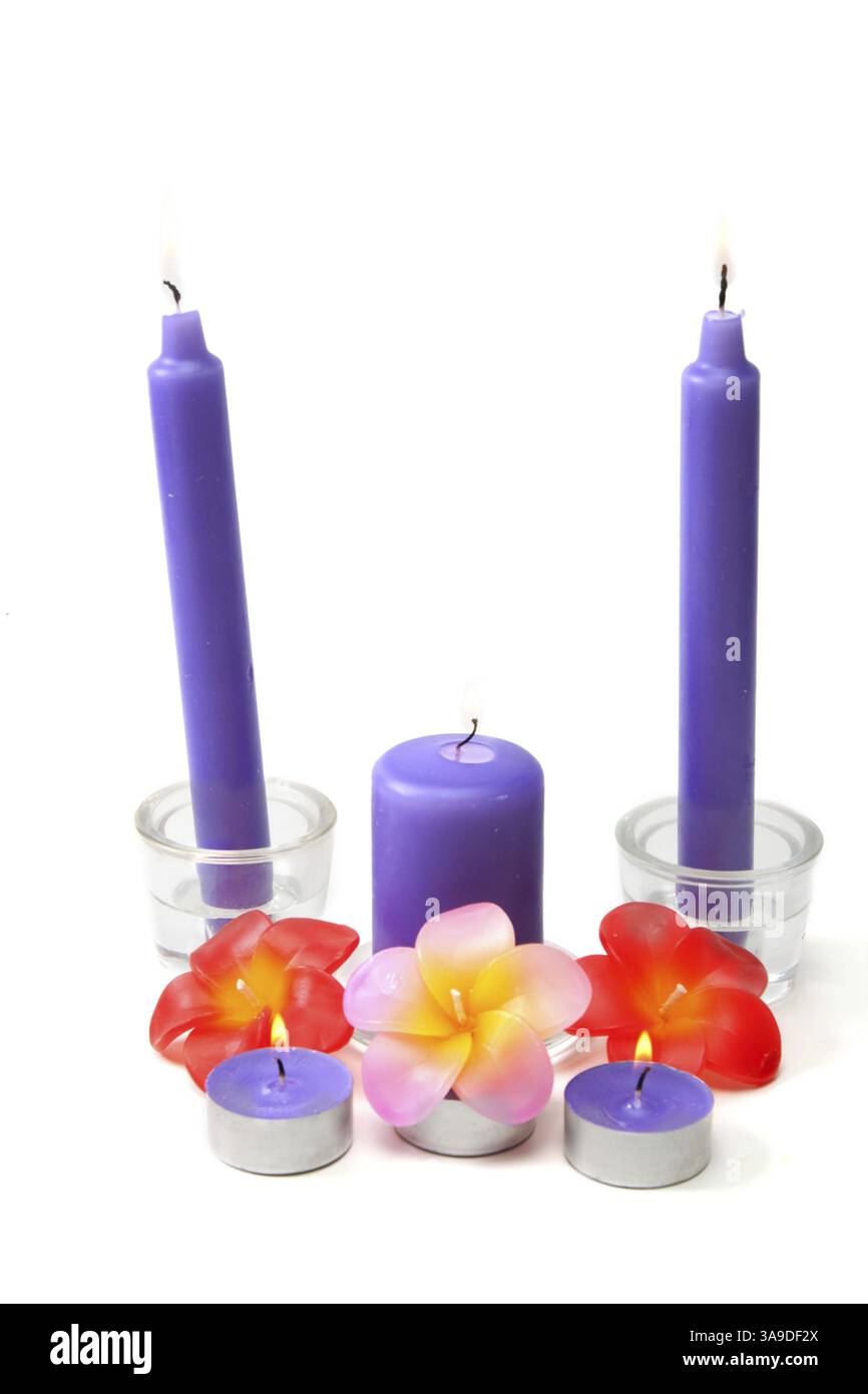 Violet candles in glass candlestick and in the manner of waxy colour ...