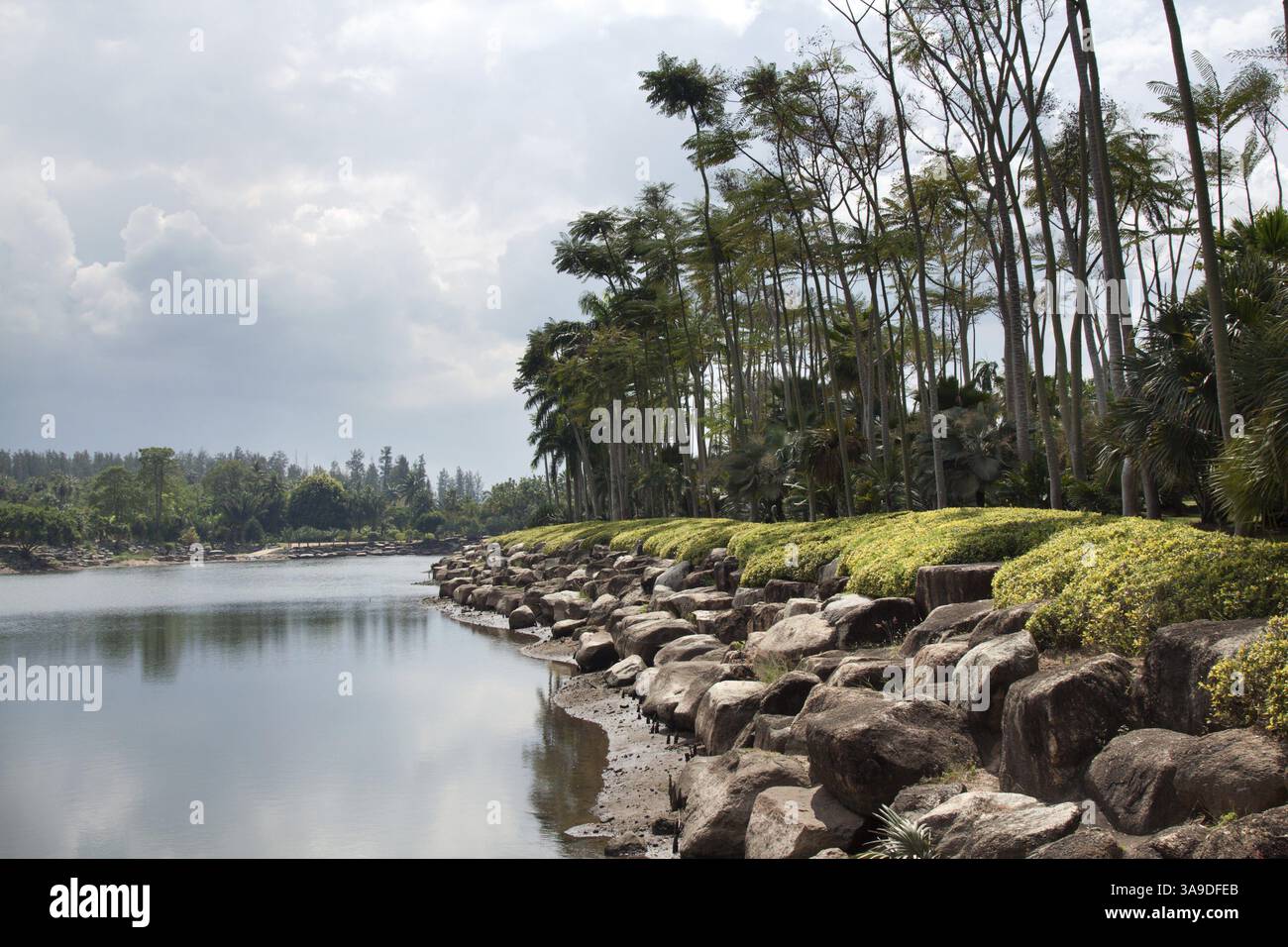 Tropical river, stone coast, palms, dull sky Stock Photo - Alamy