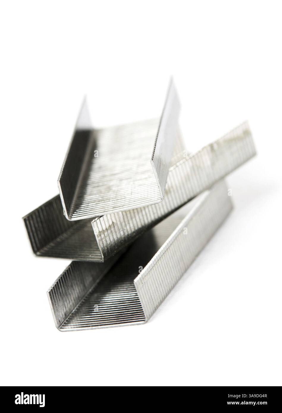 Metal staples isolated on a white background Stock Photo - Alamy