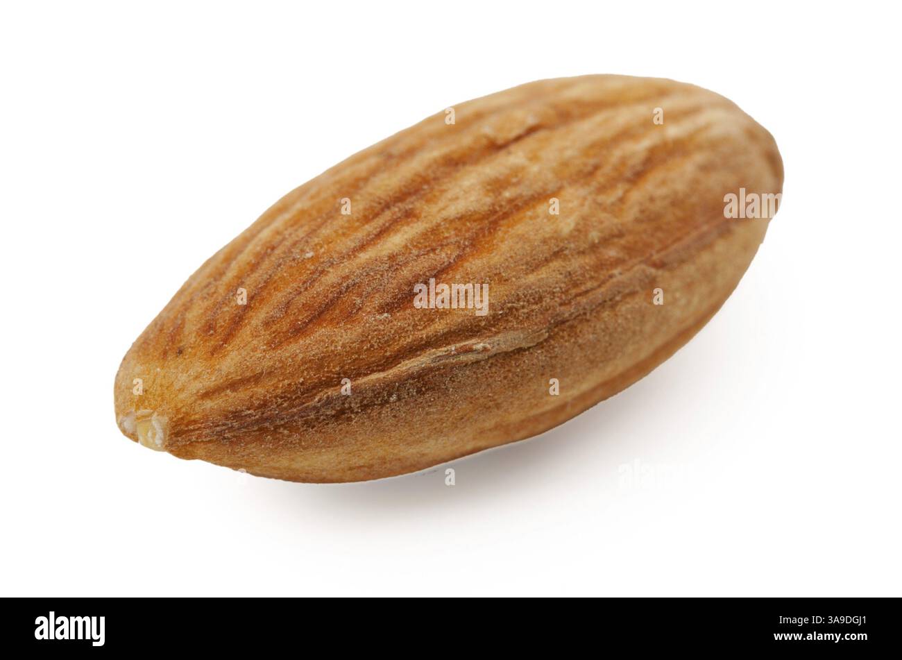 One almond closeup isolated on white background Stock Photo - Alamy